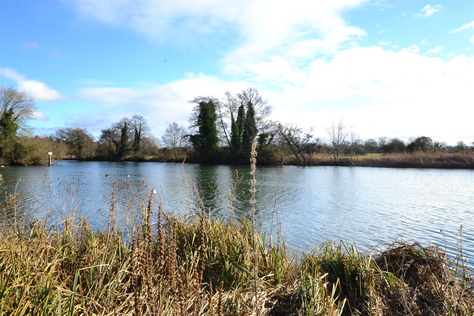The Warren, Caversham, Reading - Walmsley