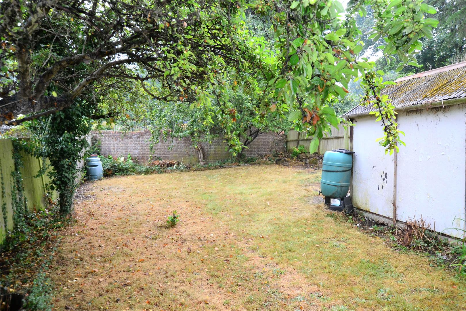 Western Elms Avenue, Reading - Walmsley